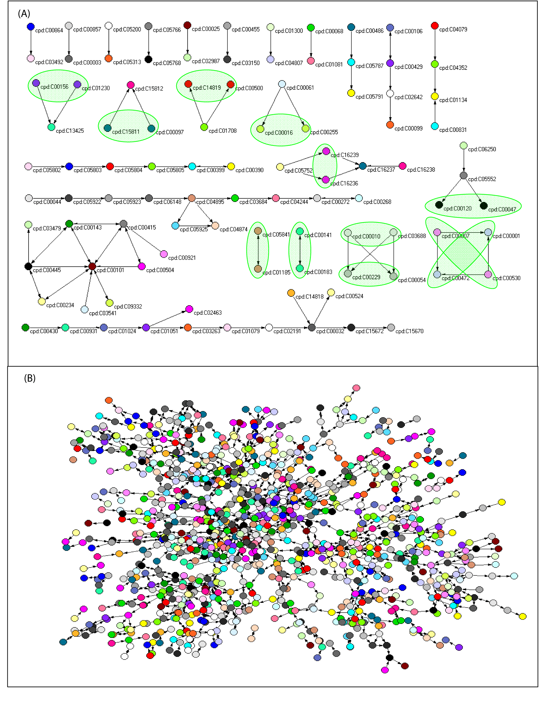 Omicsonline | Full text | Symmetry of Metabolic Network