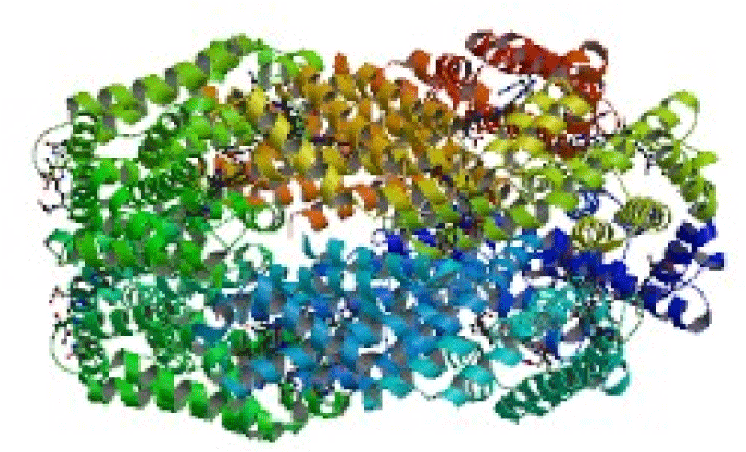 Omicsonline | Full text | Sequence and Structure Comparison Studies of ...