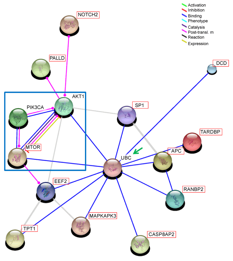 Figure 3 | The protein-protein interaction pathways..