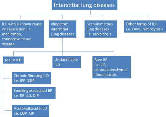 Interstitial Lung Disease Classification