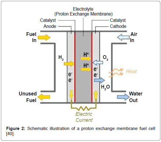 applied-mechanical-engineering-proton-exchange-membrane