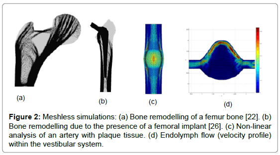 Biometrics Biostatistics Meshless Simulations