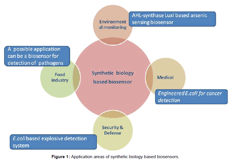 Synthetic Biology Based Biosensors And The Emerging Governance Issues