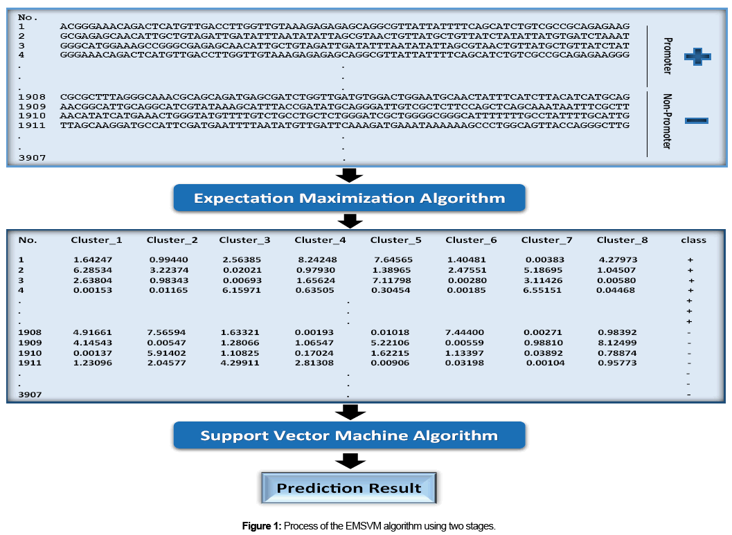 Data Mining Genomics Process Emsvm Algorithm