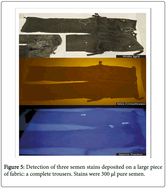 Forensic Research Stains Deposited