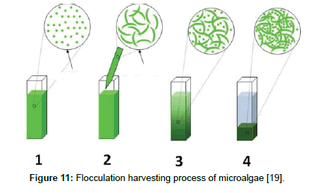 fundamentals-renewable-energy-Flocculation