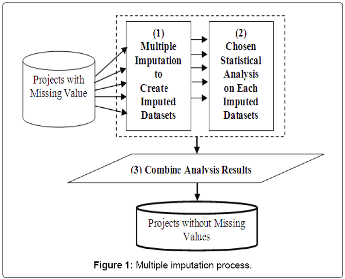 Information Technology Imputation Process