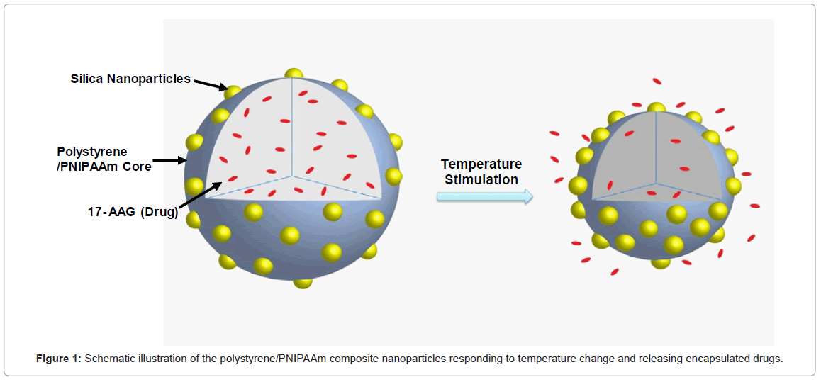 Thermo Responsive Core Shell Composite Nanoparticles Synthesized Via