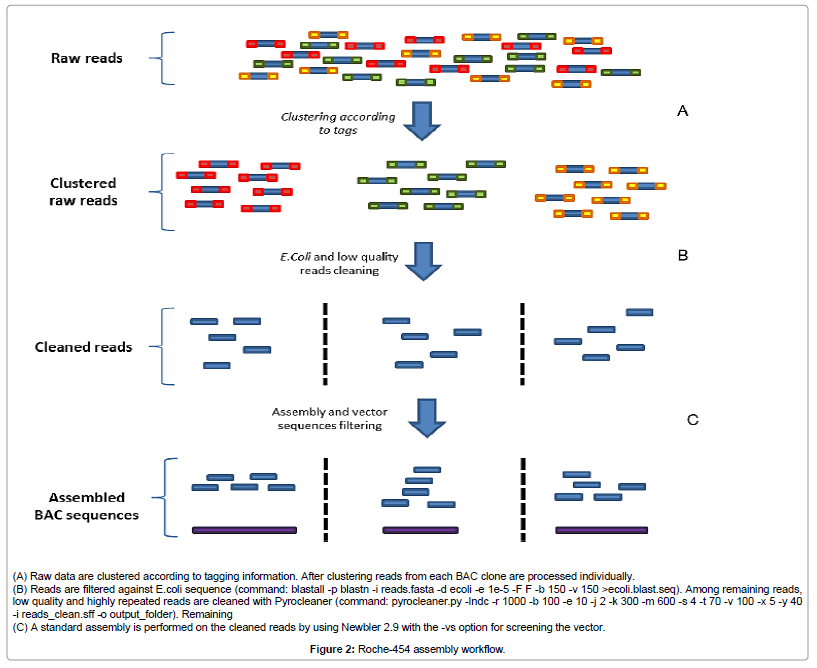 Next Generation Sequencing Workflow