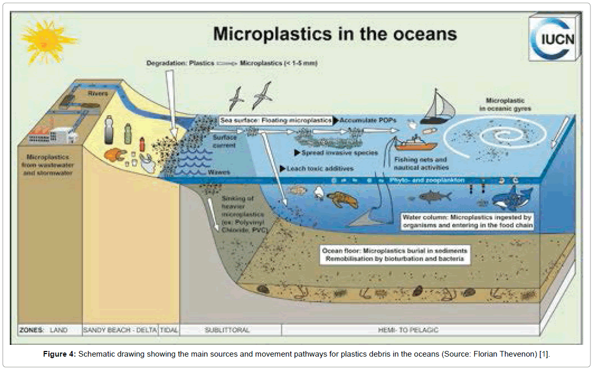 Pollution And Effects World Plastics Production
