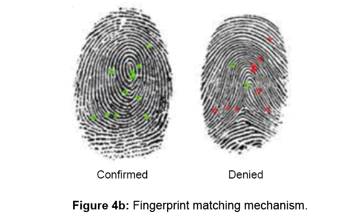Biometrics biostatistics fingerprint matching