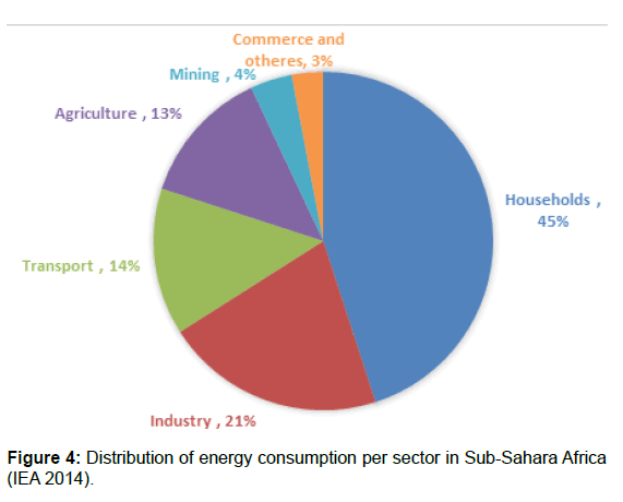 Fundamentals Renewable Energy Consumption