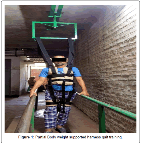 neurorehabilitation-harness