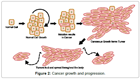 nutrition-food-sciences-Cancer-growth